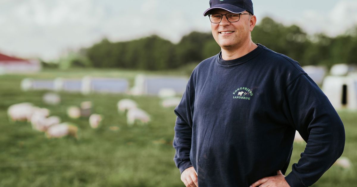 Sofari | Kongsbjerg Landbrug